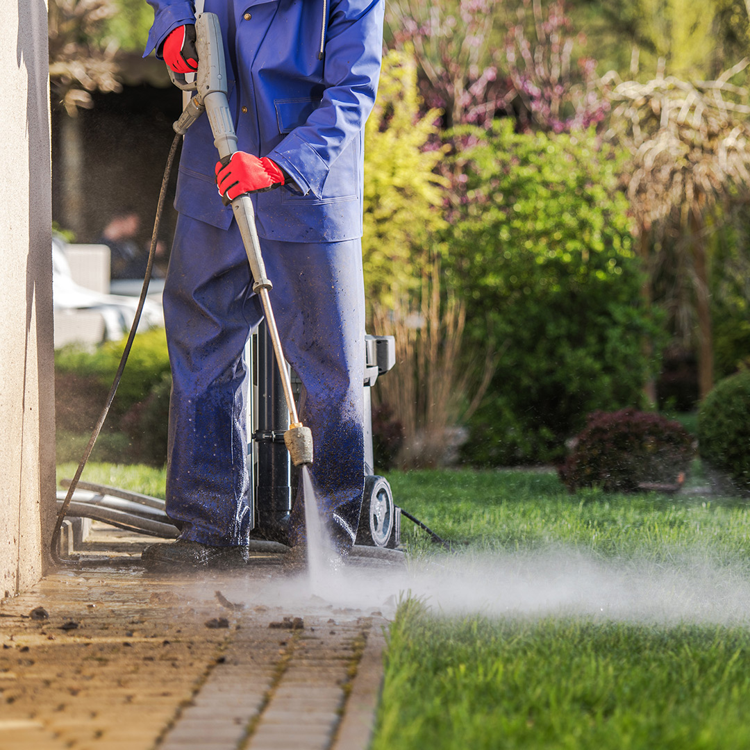 Superior Pressure Washing Service | Mildew & Mold Removal